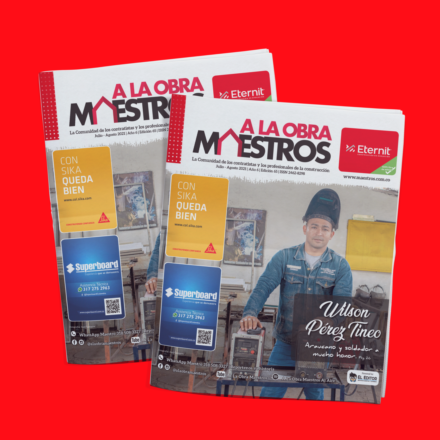 ¿Cómo proteger la madera de termitas y hongos con Merulex I.F.A de Sika? - A la Obra Maestros